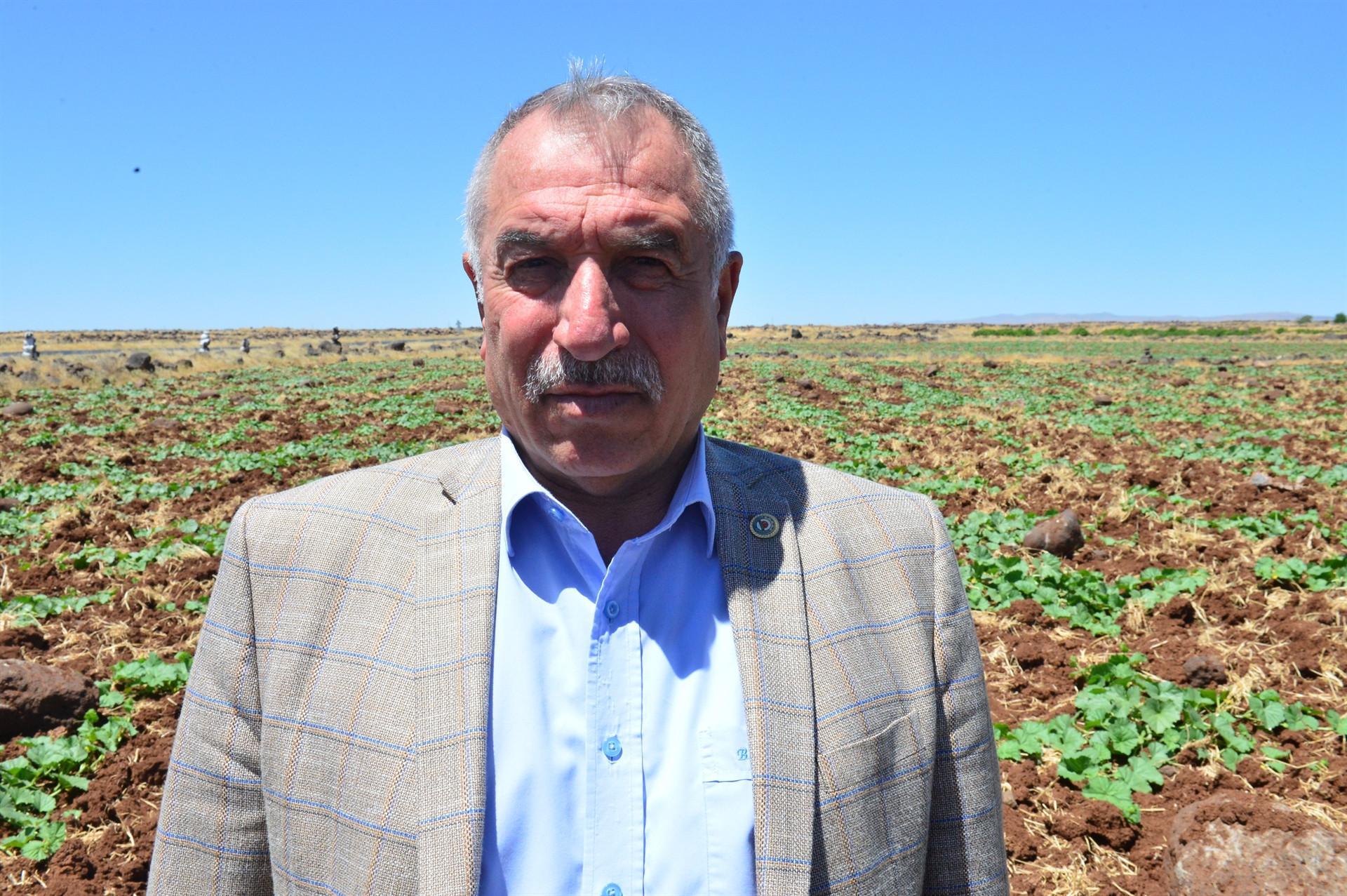 Sadece orada yetişiyor... Dışı karpuza, içi kavuna, tadı ise salatalığa ...