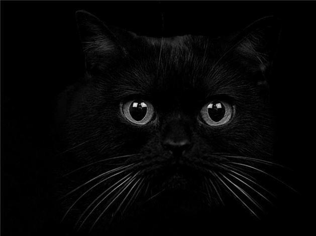 Renklerin Anlamları ve Psikolojik Etkileri - Mahmure