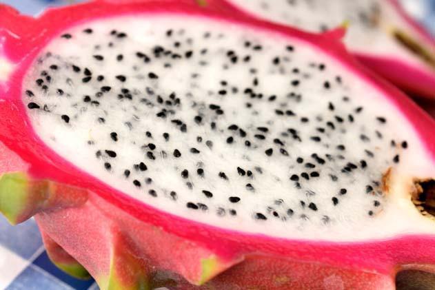 Tropikal Sağlık Bombası: Ejder Meyvesi - Mahmure