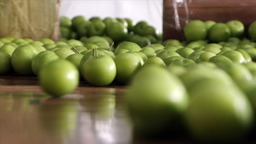 Yeşil erik faydaları zararları neler ve kaç kalori? Eriğin faydaları ...