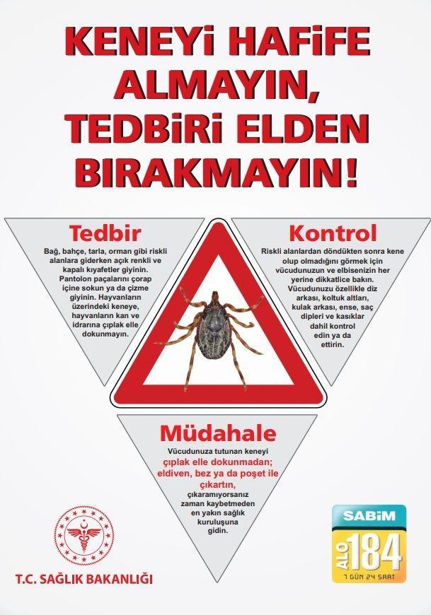 Kırım Kongo Kanamalı Ateşi (KKKA) nedir, Kene ısırması belirtileri ...