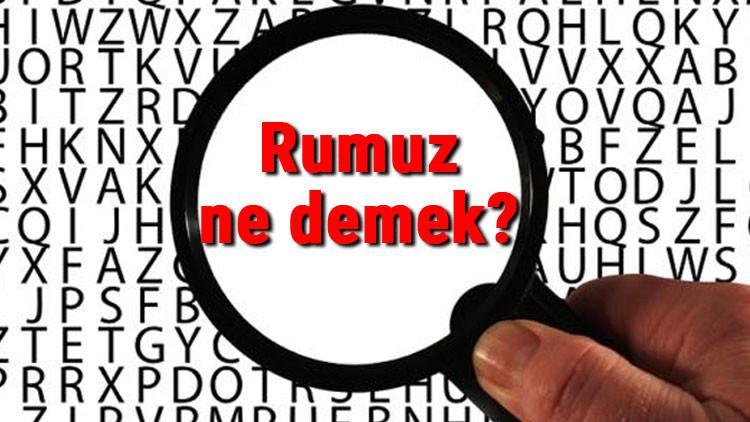 Rumuz ne demek? Rumuz nedir? Rumuz TDK kelime anlamı - Eğitim Haberleri