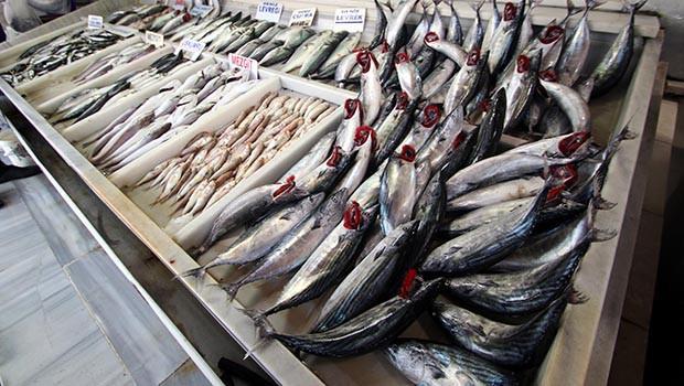 Ekim ayında hangi balıklar yenir? Ekim ayında yenilecek lezzetli olan ...