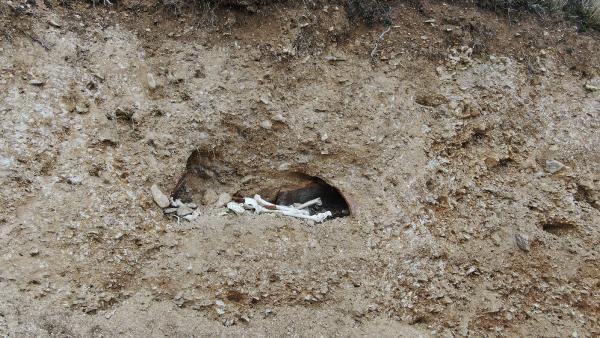 Şile'de kiremit mezarlar bulundu - Son Dakika Haber