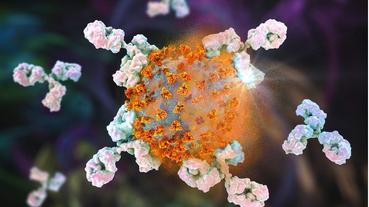 Deve gribi nedir, nasıl bulaşır, belirtileri nelerdir? 2022 Dünya ...