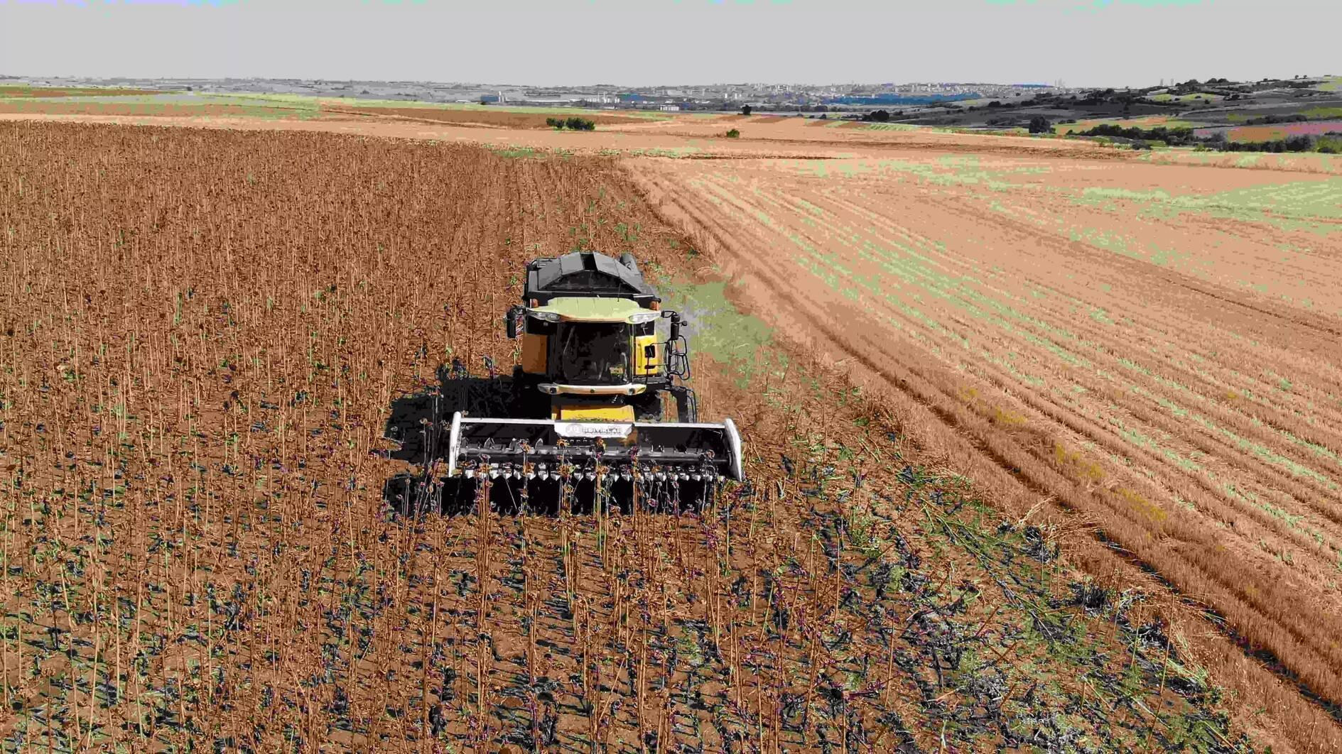 Pace of increase in agricultural input prices slows - Latest News Pace of increase in agricultural input prices slows - Latest News