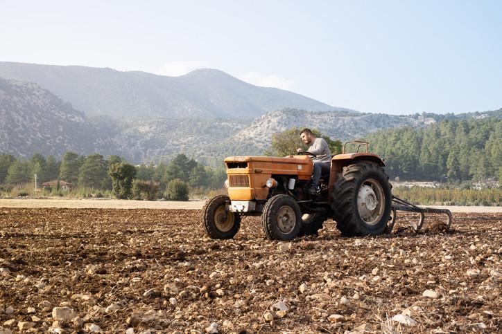 Tİgem Kura Sonuçları Açıklandı Mı Nereden Sorgulanır Tİgem 306 Mevsimlik Işçi Alımı Için