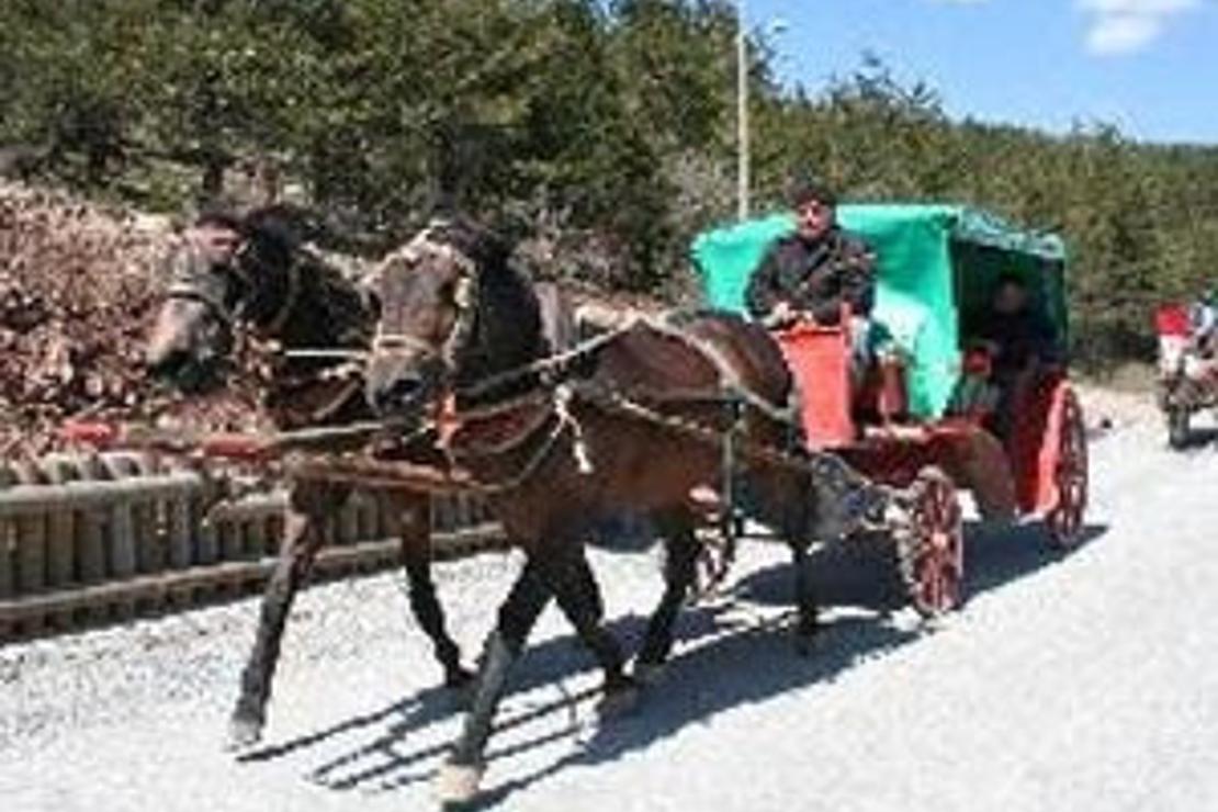 Abant’ta fayton keyfi - Seyahat Haberleri