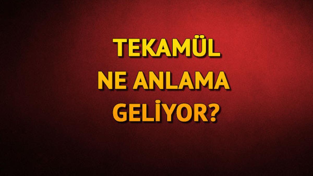Tekamül Ne Demek? Tekamül Nedir? Tekamül TDK Sözlük Anlamı