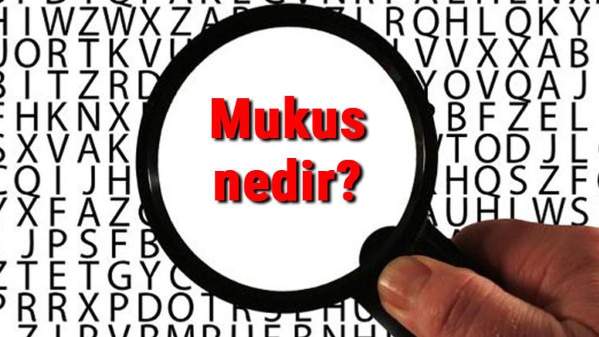 Mukus nedir ve neden oluşur?