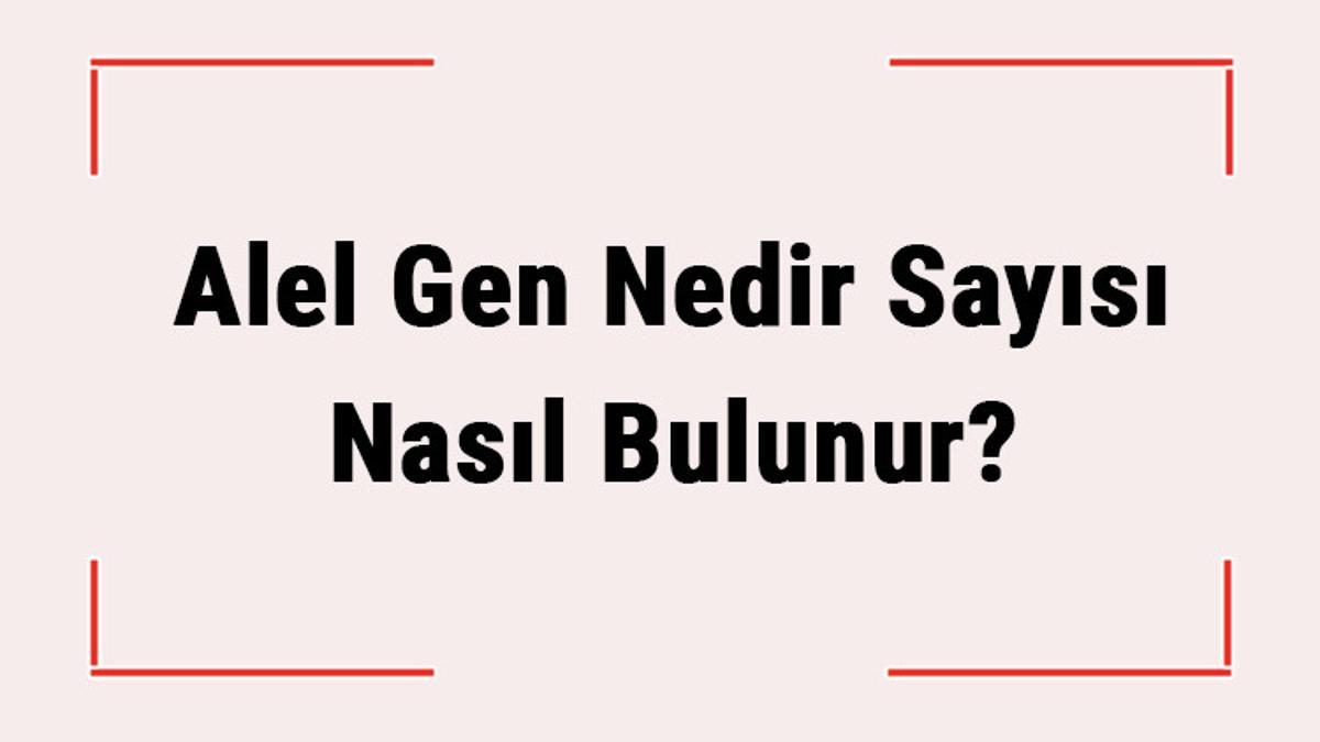 Alel Gen Nedir Sayısı Nasıl Bulunur? Alel Gen Nerede Bulunur? Alel Gen ...