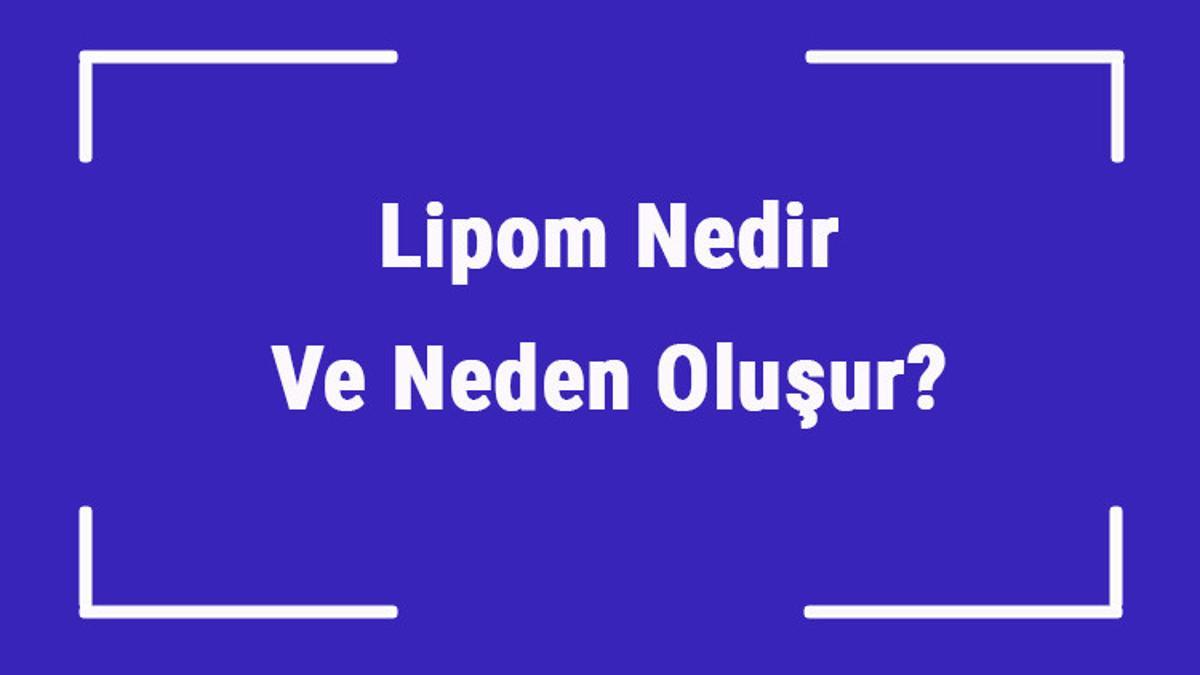 Lipom Nedir Ve Neden Oluşur? Lipom (Yağ Bezesi) Belirtileri Ve Tedavisi