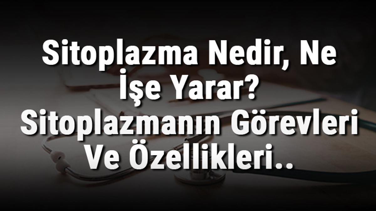Sitoplazma Nedir, Ne İşe Yarar? Sitoplazmanın Görevleri Ve Özellikleri ...