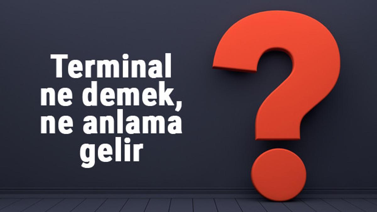 Terminal ne demek, ne anlama gelir? Terminal kelimesinin TDK sözlük anlamı