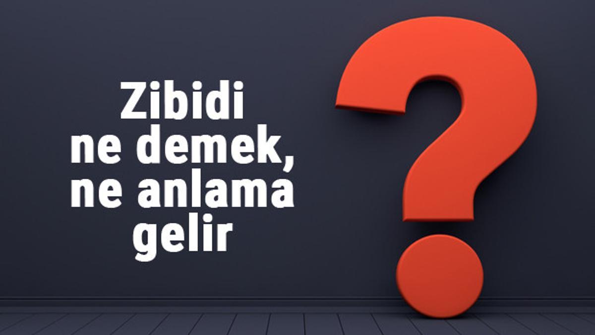 Zibidi ne demek, ne anlama gelir? Zibidi kelimesinin TDK sözlük anlamı