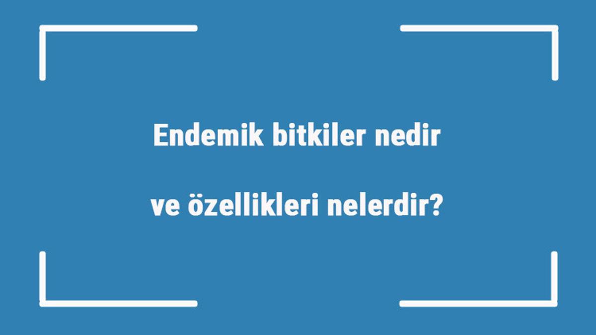Endemik bitkiler nedir ve özellikleri nelerdir? Endemik bitkiler neden ...