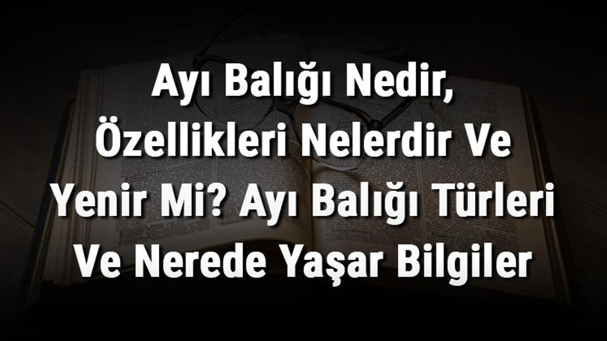 Ayı Balığı Nedir, Özellikleri Nelerdir Ve Yenir Mi? Ayı Balığı Türleri ...