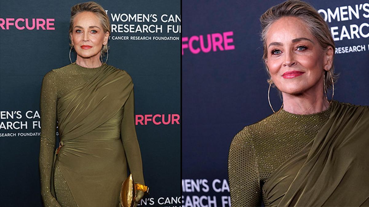 Sahnede gözleri dolarak anlattı… Sharon Stone: Servetimin yarısını ...