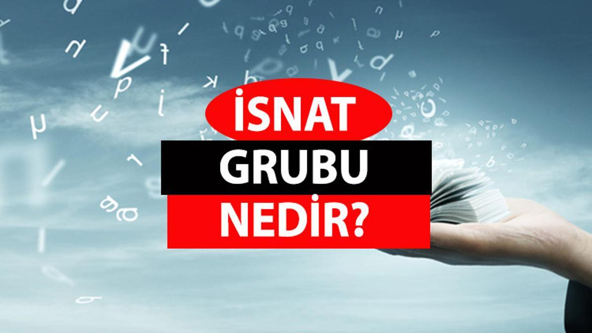 İsnat grubu nedir? İsnat grubu ne demek? İşte, tanımı ve cümle ...