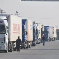 Turkish truck driver dies in Syria - World News