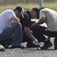 Mexican police find 49 headless bodies - World News