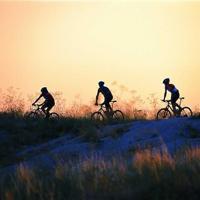 Cardboard bicycle can change the world, says Israeli inventor