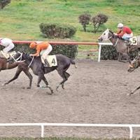 Horse race, poetry, arts, all on schedule - World News