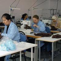 More urban women join the workforce in Turkey - Latest News