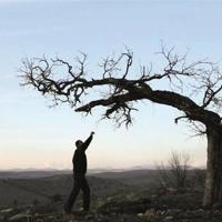 Golden Boll celebrates 100th year of cinema