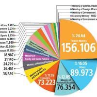 Analysis: How the new central budget is allocated - Latest News