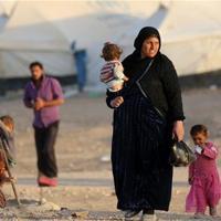 Winter closes in on refugees fleeing Iraq’s Mosul - World News