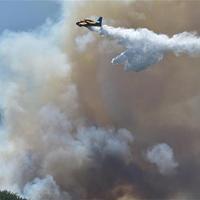 Over 500 hectares burnt as forest fire rages for second day in Turkey’s ...