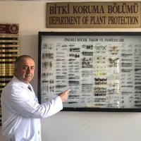 Turkish scientist discovers new insect, names it after father - Türkiye ...