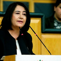 Turkey releases former HDP co-chair Serpil Kemalbay - Türkiye News