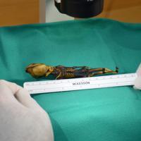 Tiny Atacama skeleton was girl with bone disease