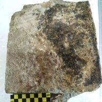 Ancient tablet of Odyssey epic discovered in Greece