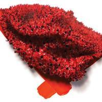 Psychological borders reflect onto photography