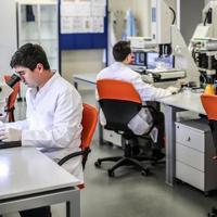 Mega stent production facility ready to open - Latest News