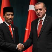 Turkish, Indonesian leaders exchange holiday greetings - Türkiye News