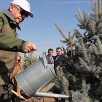 Turkey plants 11 million saplings on National Forestation Day - Türkiye ...