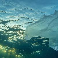 Plastic waste level in seas increases as Turkish waters at risk ...