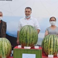 Turkey’s heaviest watermelons correspond to weight of their producers ...