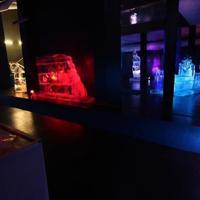Ice museum lets visitors take polar strolls