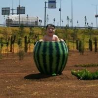 ‘Boy in watermelon’ statue baffles people - Türkiye News