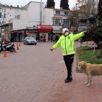 Turkish traffic cop, stray dog become best friends - Türkiye News