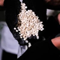 Captagon trade spirals to top $5 billion in 2021: report - World News