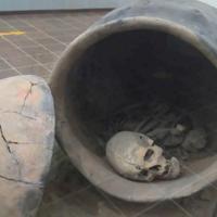 Ancient baby burial draws interest at museum