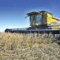 Soy boon for Argentina as Ukraine war boosts prices - Latest News