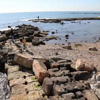 Ancient harbor comes to surface