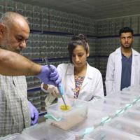 Scorpion venom ‘brings $10 million per liter’ - Türkiye News